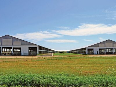 Livestock Dairy Metal Building | American Buildings Company